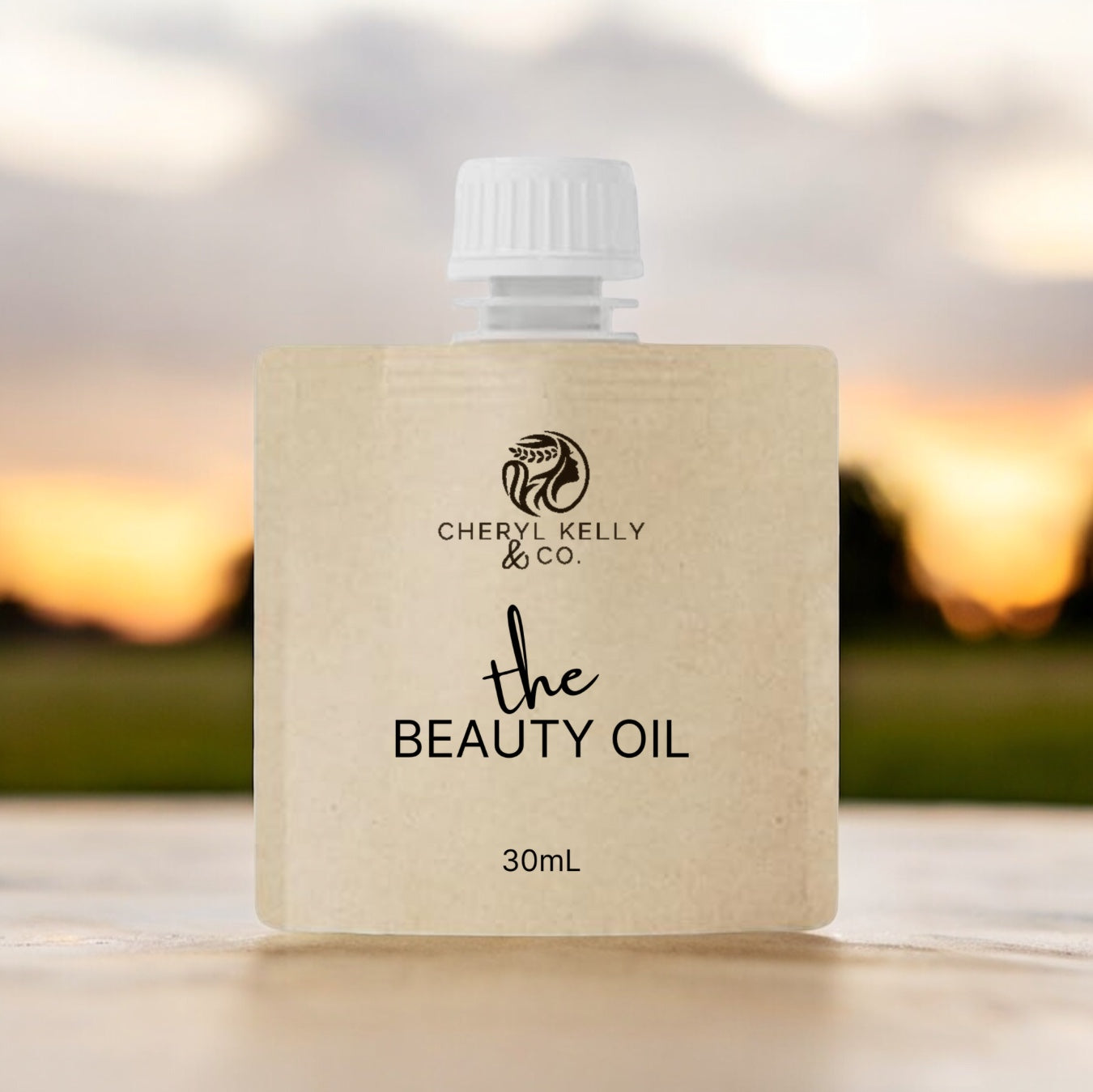 Cheryl Kelly & Co. Inc. – Cheryl Kelly & Co., Inc.